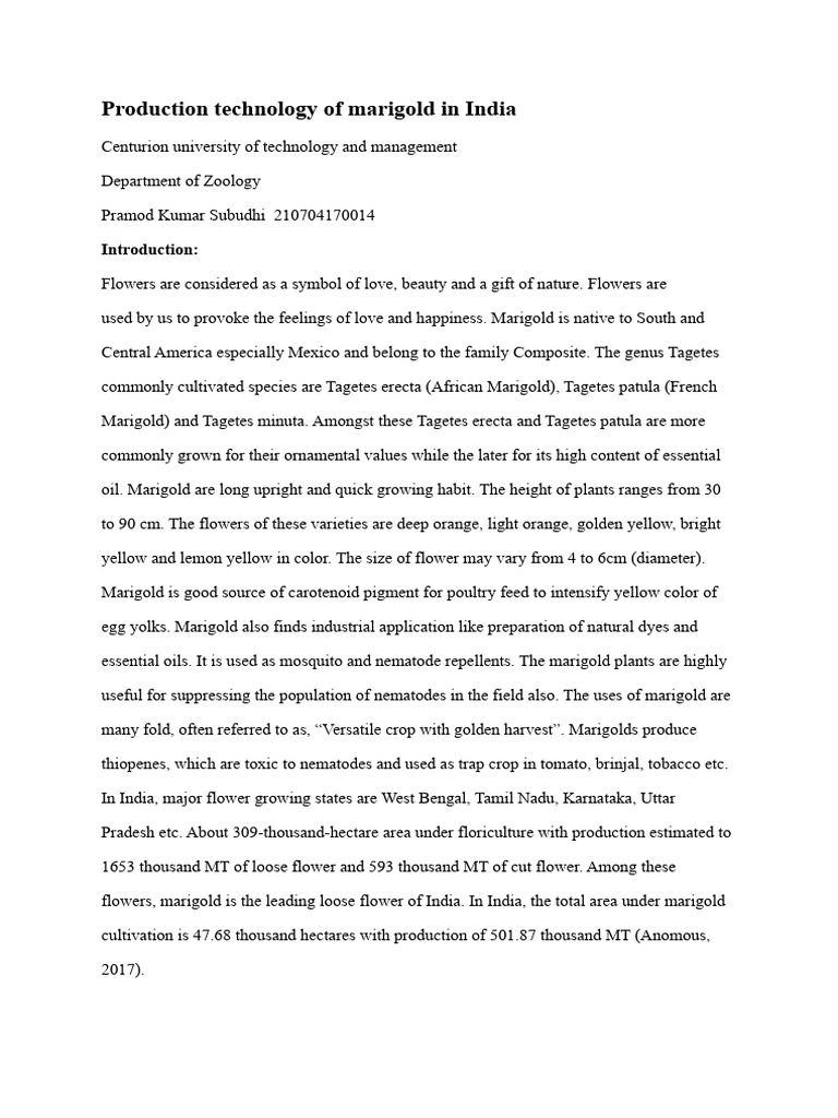 Production Technology of Marigold in India | PDF | Botany | Horticulture