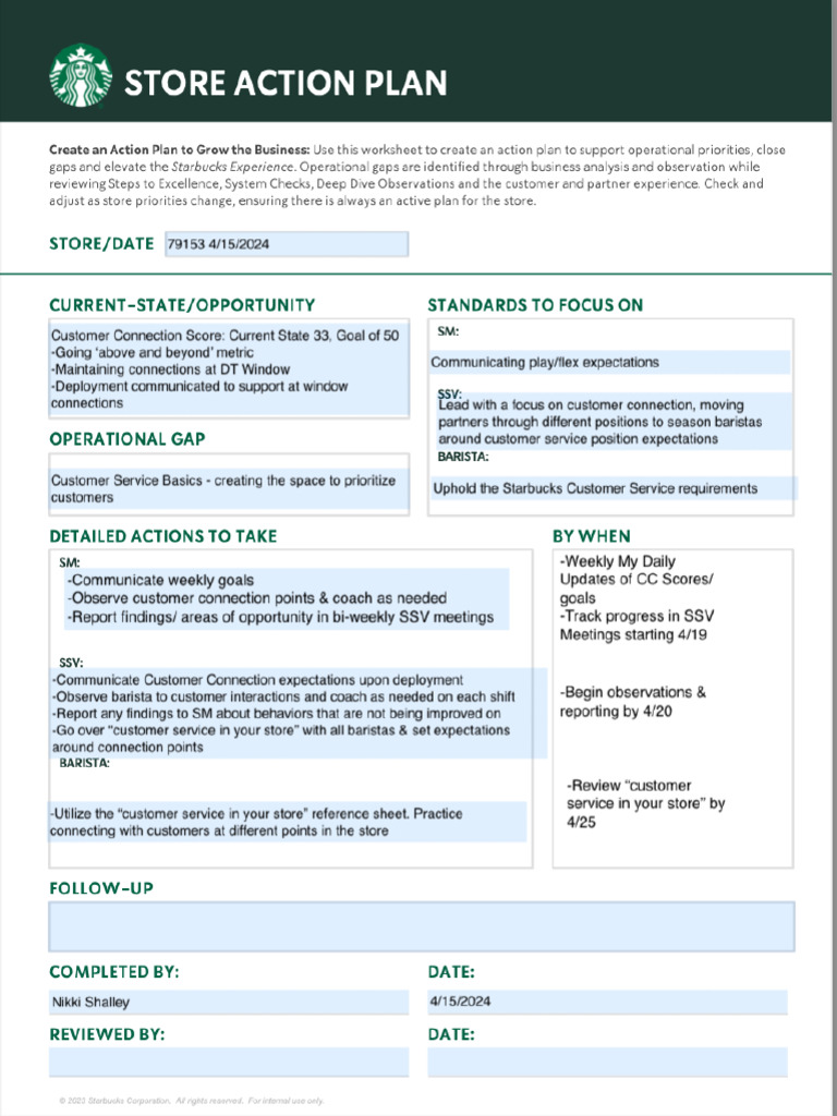 Store Action Plan | PDF