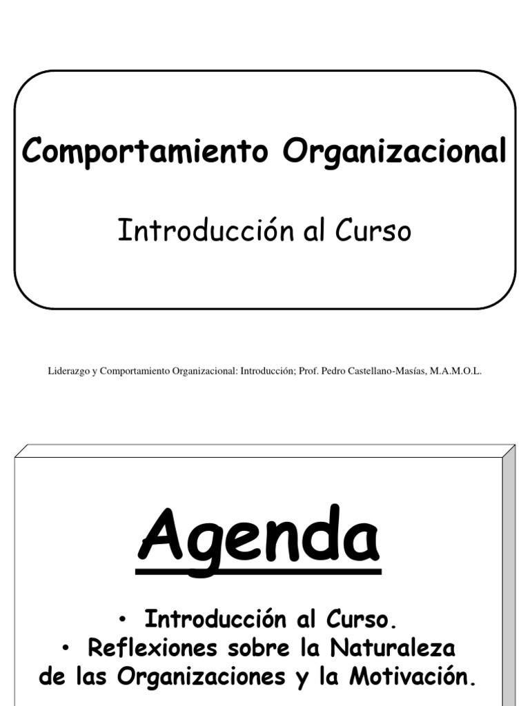 LICO - 1 y 2 - Introduccion Al Curso y Motivacion Alumnos | PDF | Comportamiento organizacional ...