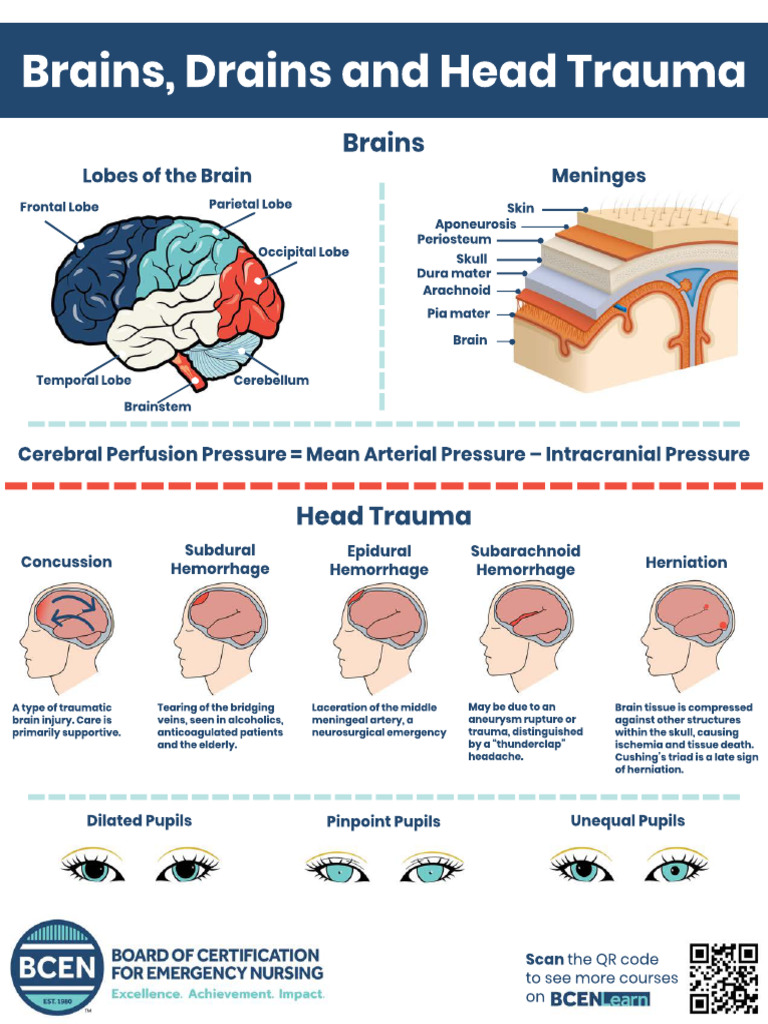 Understanding Head Trauma in Children | PDF | Injury | Vascular Diseases