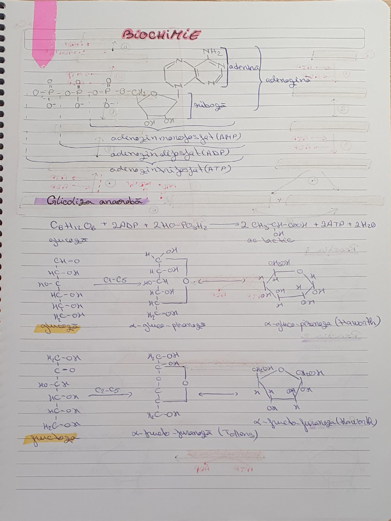 Conspect Biochimie | PDF