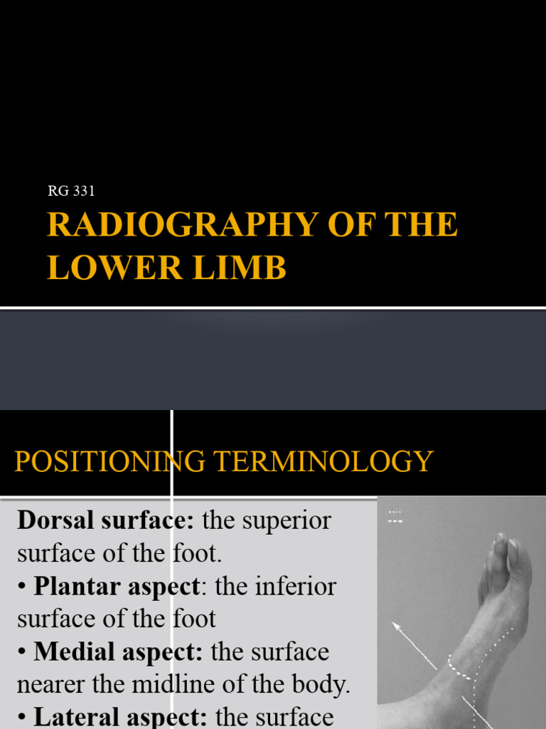 Radiography of The Lower Limb-Foot | PDF | Anatomical Terms Of Motion ...