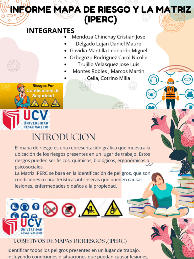 Informe Mapa y Riesgo, (IPERC) | PDF | Riesgo | Business