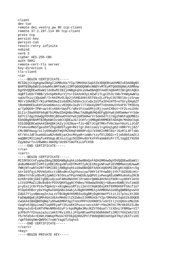 OpenVPN Client Configuration Guide | PDF | Computer Science | Security