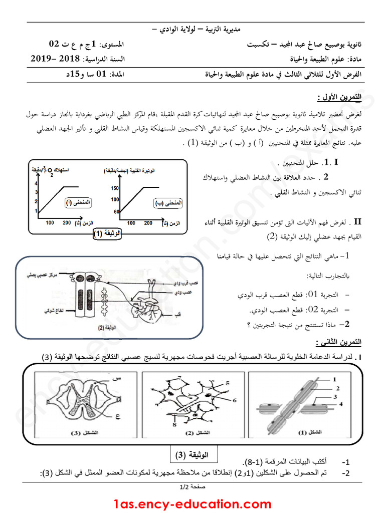 Sciences 1sci19 3trim d1 | PDF