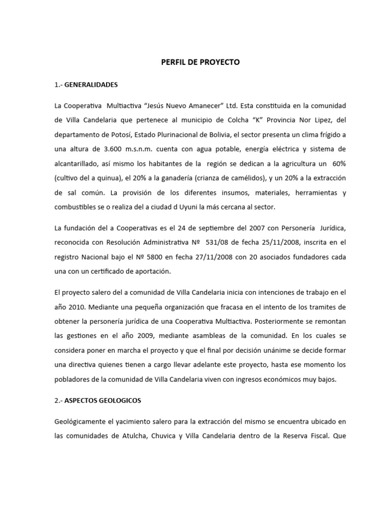 Perfil de Proyecto | PDF | Minería | Cooperativa