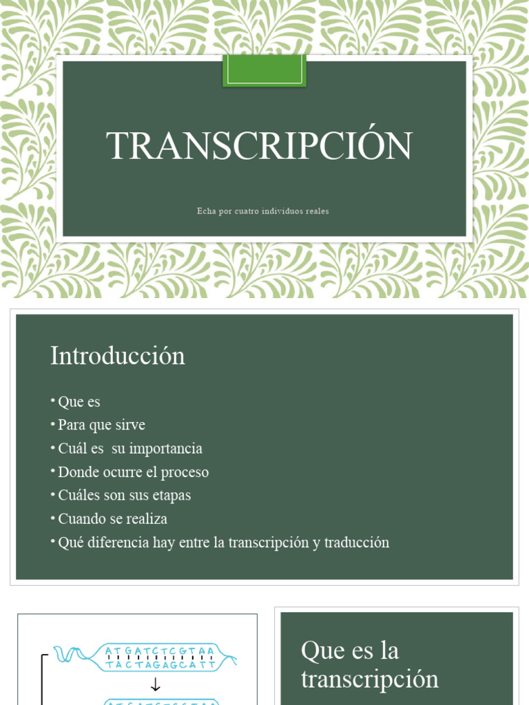 Transcripción: Clave en Expresión Génica | PDF | Rna | Adn