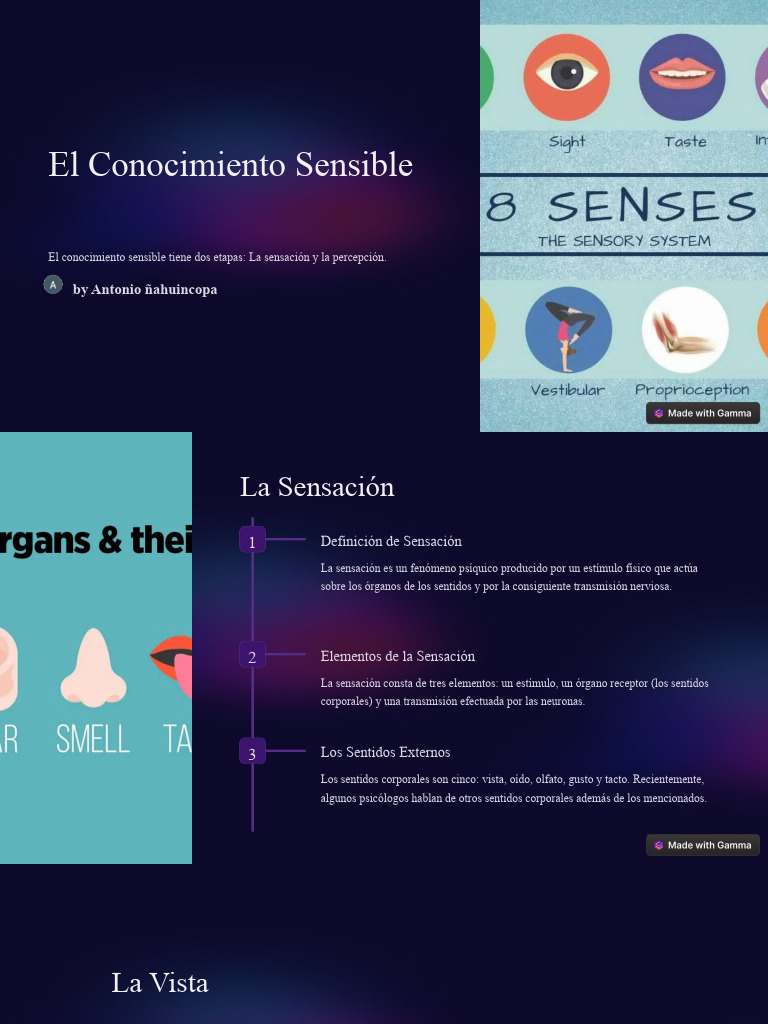 Conocimiento Sensible: Sensación y Percepción | PDF | Sentidos | Gusto