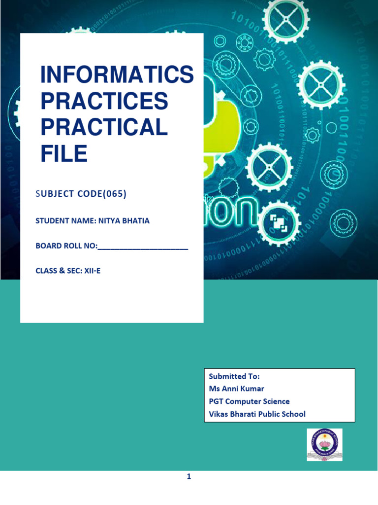 Nitya Practical File Class Xii 2023-2024 | PDF | Loans | Arithmetic