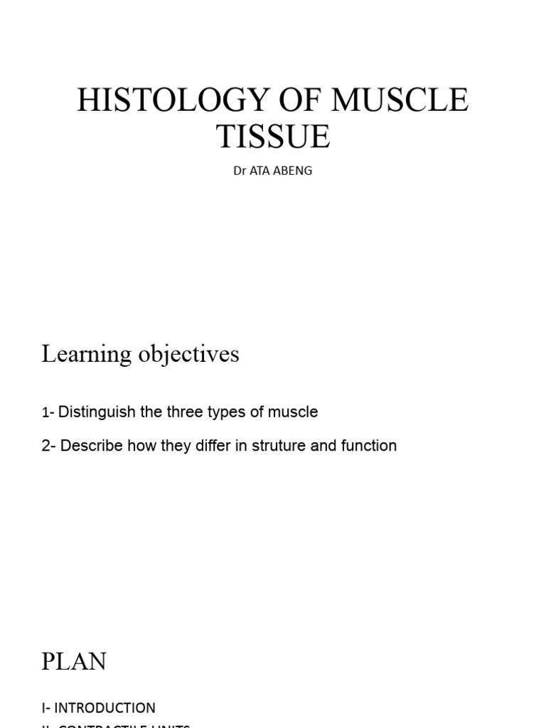 Histology of Muscle Tissue | PDF | Muscle | Cardiac Muscle