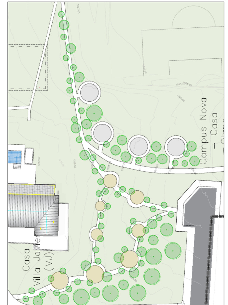 PLANTA SIN COLOR | PDF