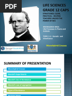 Pigeonetics Game Teacher Guide | PDF | Dominance (Genetics) | Allele