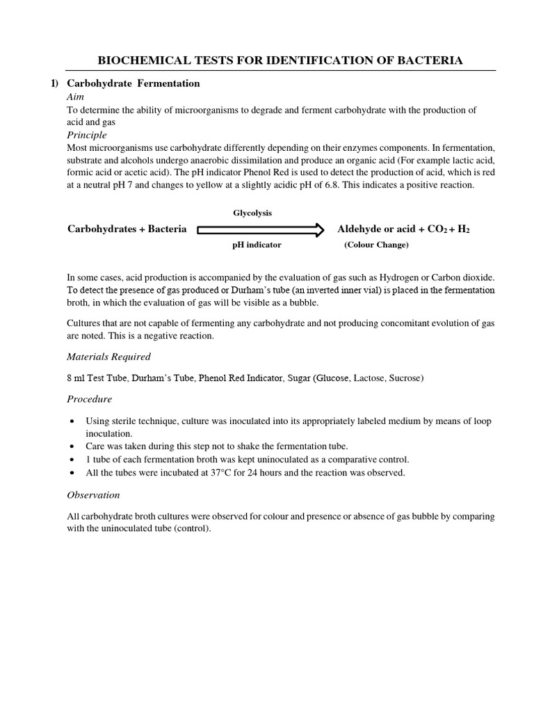 10.biochemical Tests For Identification of Bacteria | PDF | Growth ...
