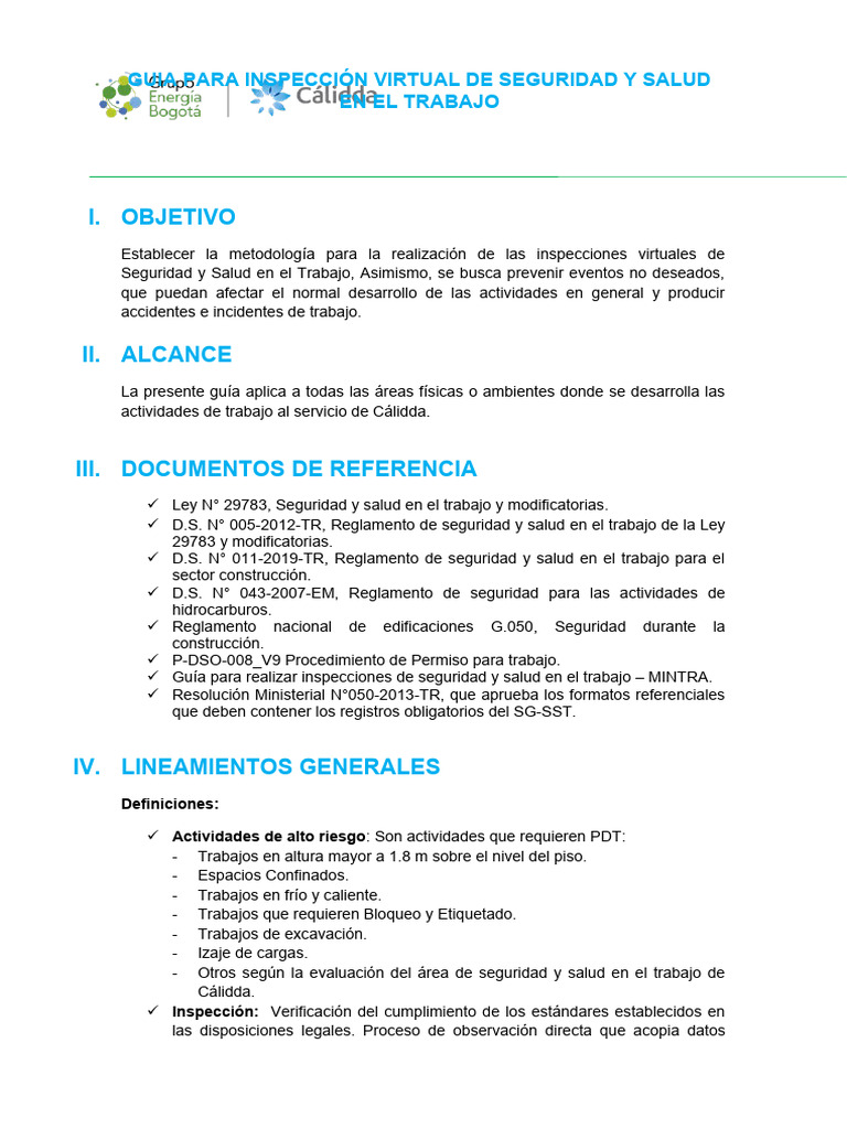 Guia de Inspección Virtual SST | PDF