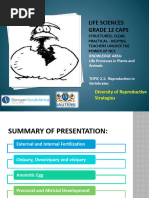 Term 3 Life Science Remote Learning Booklet | PDF | Leaf | Mitosis
