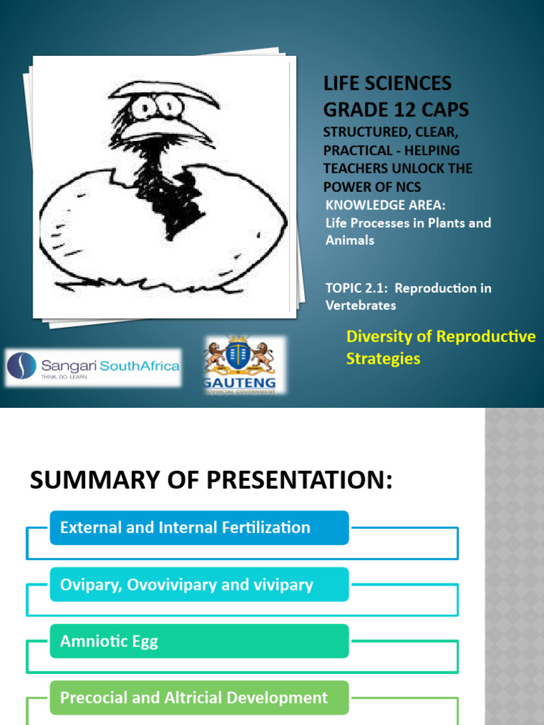 PP4. Diversity of Reproductive Strategies | PDF | Egg | Fertilisation