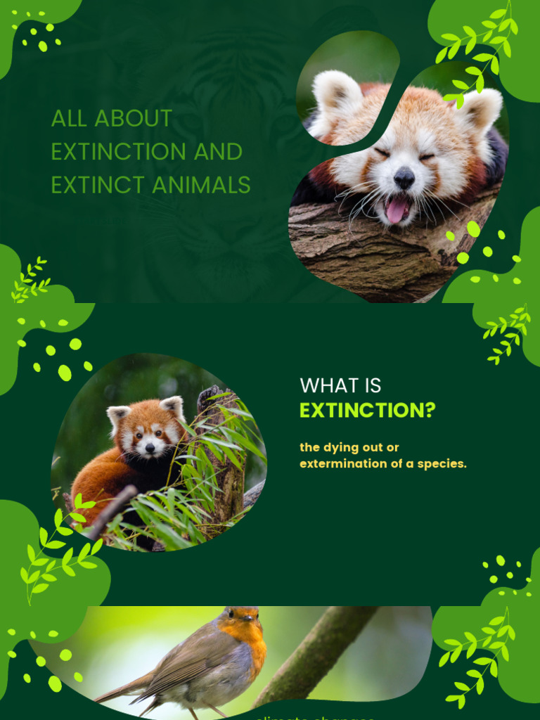 Extinct | PDF | Extinction | Zebra
