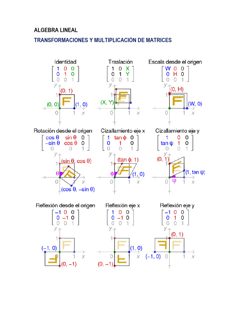 Transformaciones y Multiplicación de Matrices | PDF | Matriz (Matemáticas) | Mapa lineal