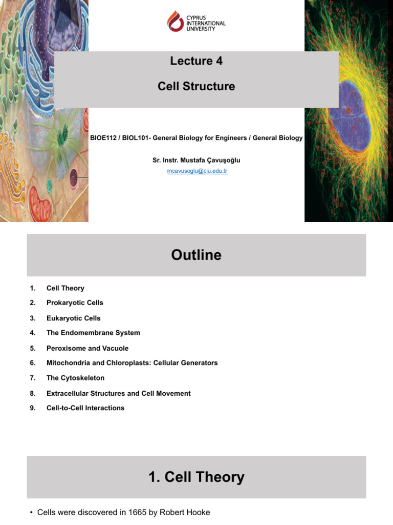 Lecture 4 - Cell Structure | PDF | Cell Nucleus | Cytoskeleton