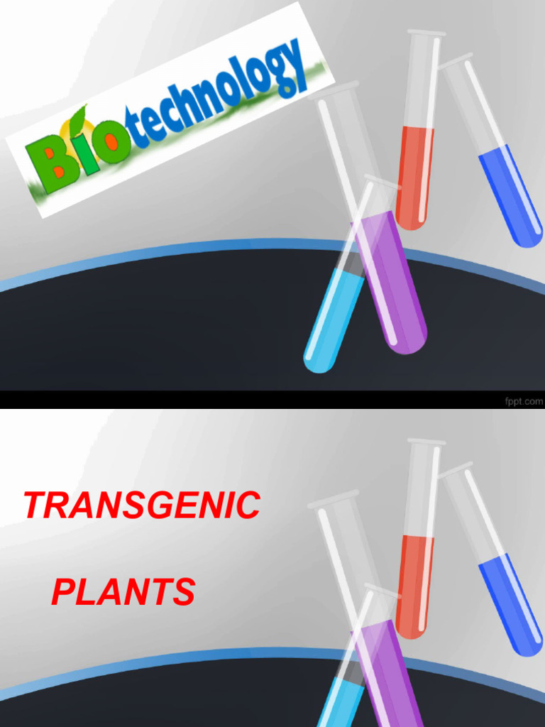 Transgenic Plants | PDF | Wellness | Science & Mathematics