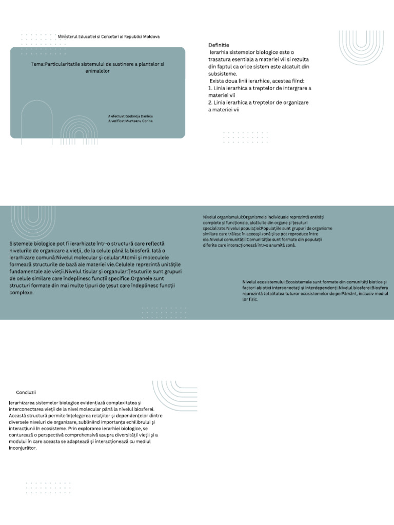 Sistemul de Sustinere | PDF