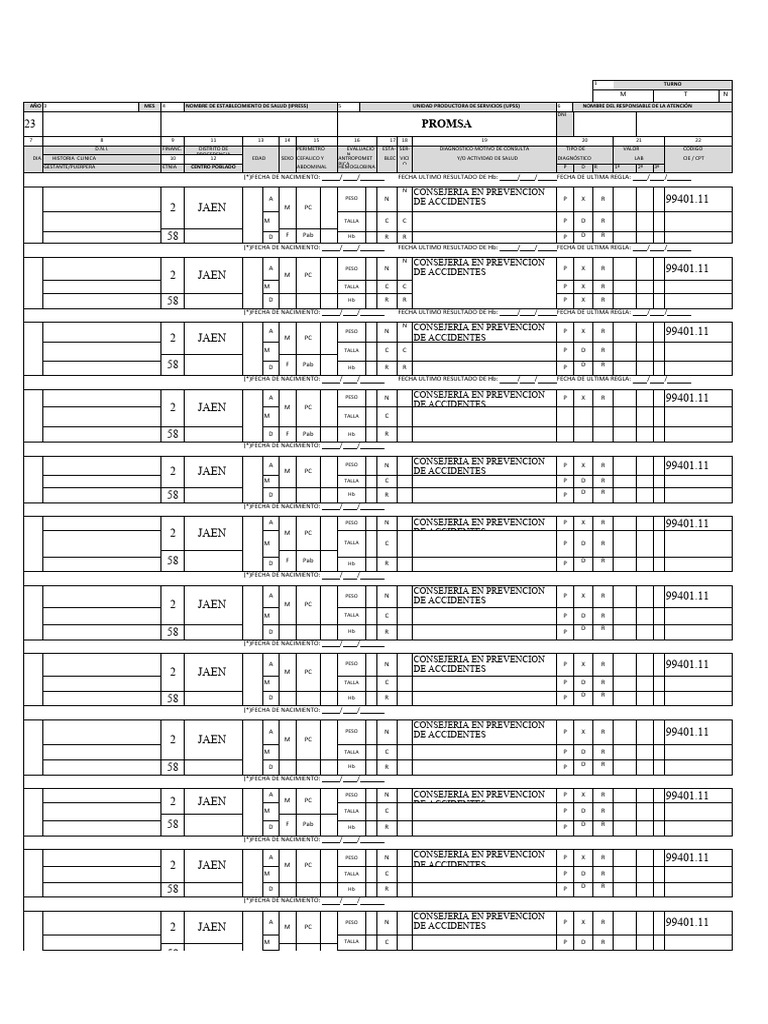 Formato His 2024 PROMSA | PDF | Gobierno y personalidad | Autenticación