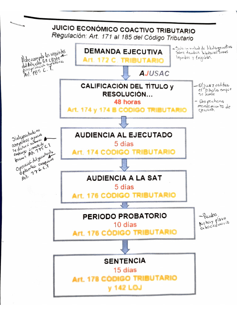 Esquemas Procesal Administrativo | PDF