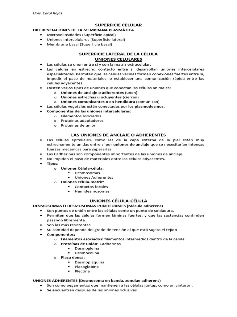 Uniones Celulares, MEC y MB | Descargar gratis PDF | Morfología ...