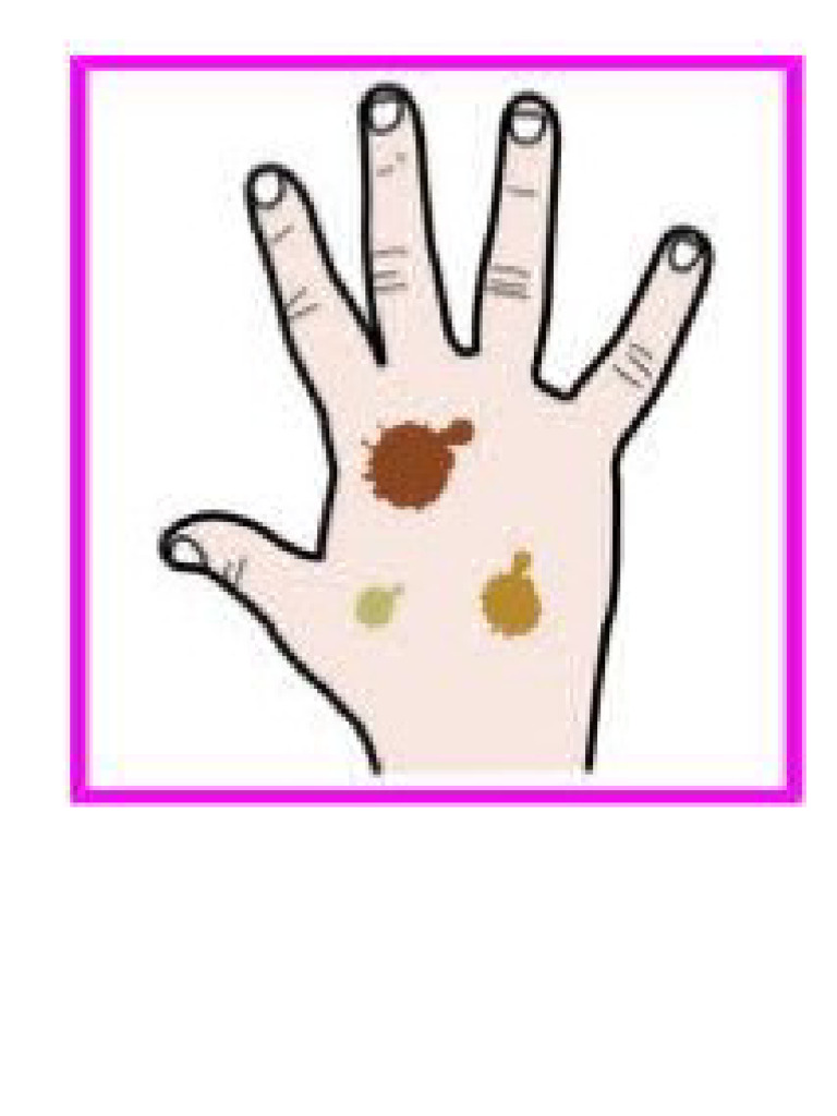 Secuencia Causa-Efecto | PDF