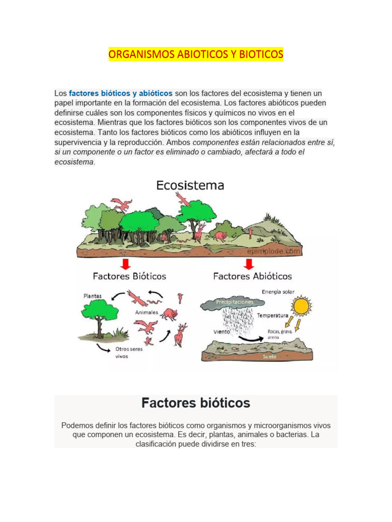 Factores Bióticos y Abióticos en Ecosistemas | PDF | Ecosistema | Plantas