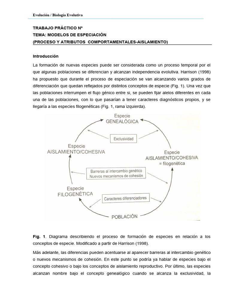 TP_13 TEMA_MODELOS DE ESPECIACIÓN_Evolución | PDF | Evolución | Especies