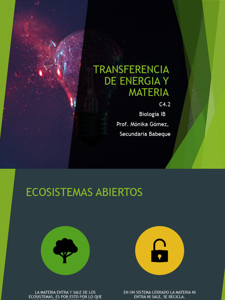 C4.2 Transferencia de Energia y Materia | PDF | Fotosíntesis | Red ...