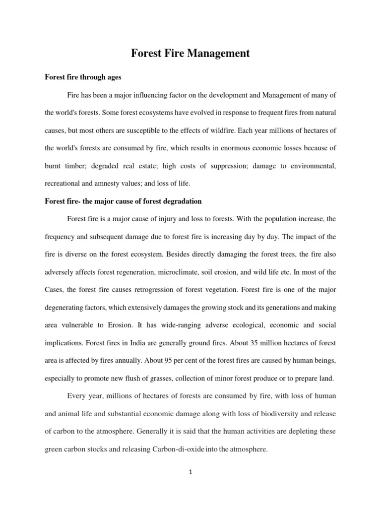 Understanding Forest Fire | PDF | Wildfire | Fires