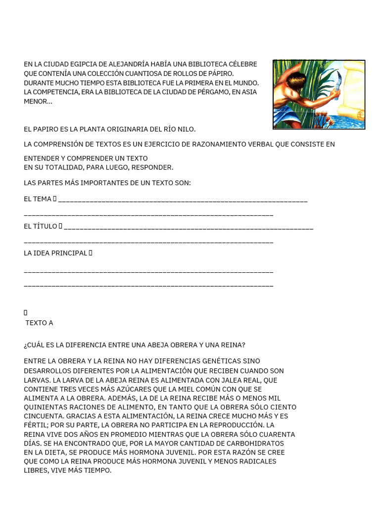 Comprensión de Lecturas para Tercero de Secundaria | Descargar gratis ...