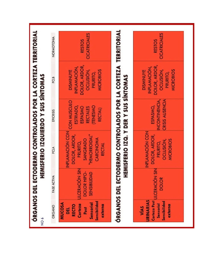 Órg Ectodermo y Síntomas | PDF