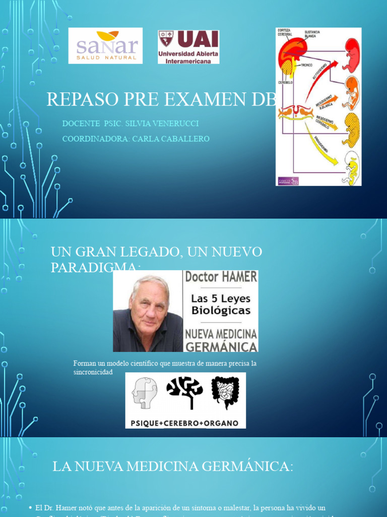 Repaso Pre Examen DBI | PDF | Cerebro | Anatomía