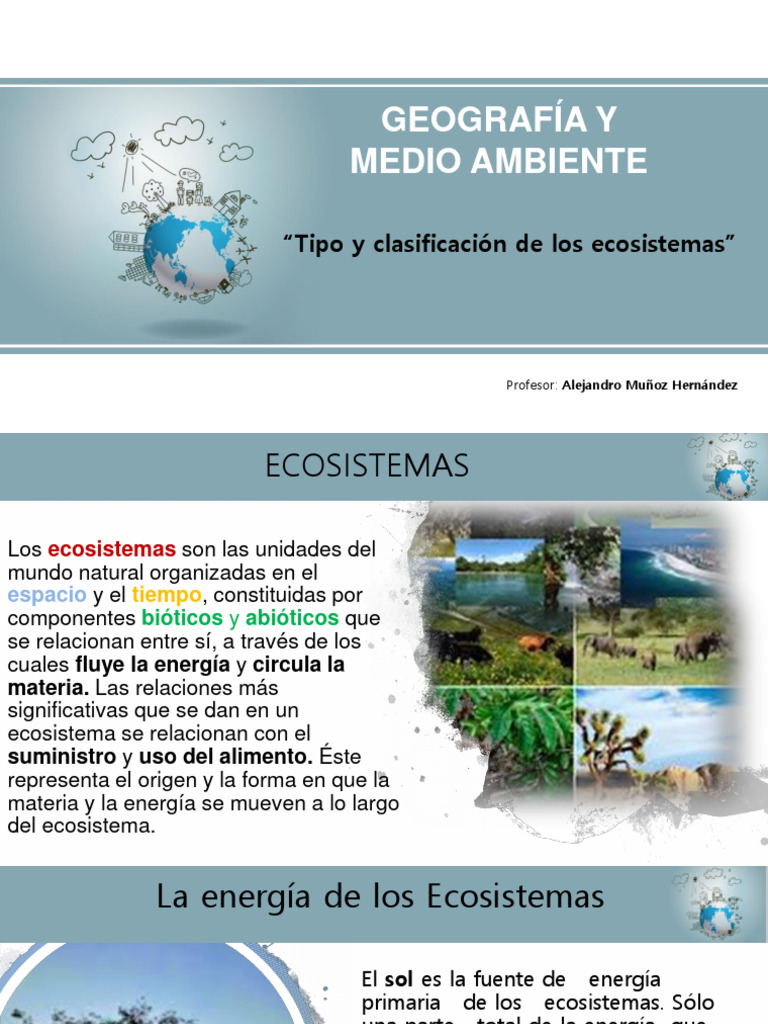Tipos y Clasificacion de Los Ecosistemas | PDF | Ecosistema | Suelo
