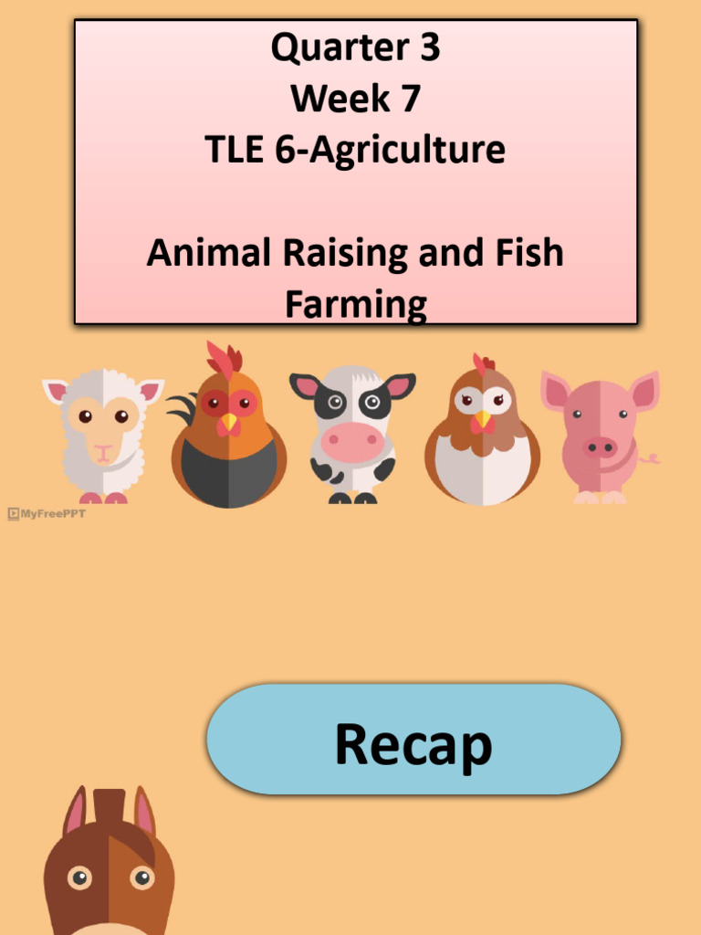 TLE 6 Week 7 Day 2 Animal Raising and Fish Farming | PDF | Goat | Cattle