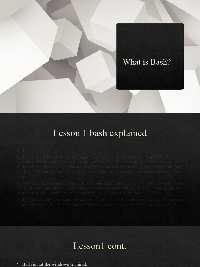 Bash Basics for Beginners | PDF | Operating System Families | Computer ...
