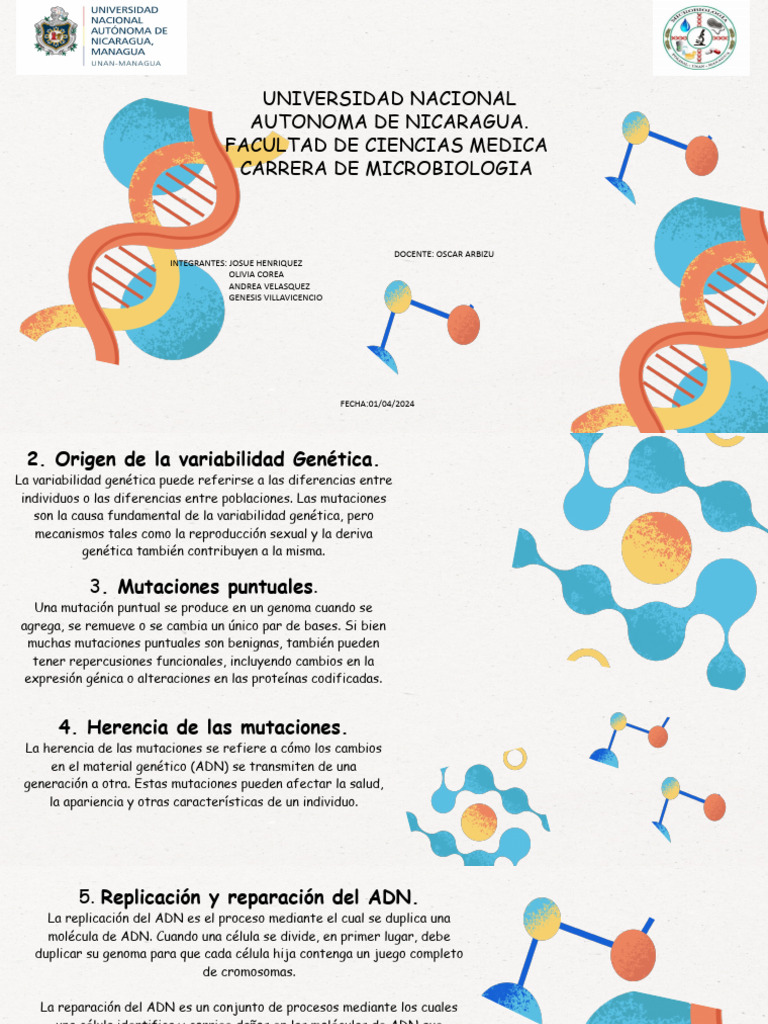 Semana 7 Biología Precentacion | PDF | Gene | Mutación