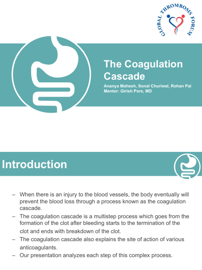 Coagulation Cascade | PDF | Coagulation | Thrombus