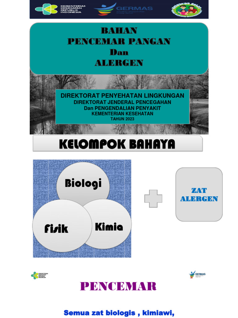 Des 12 - Apji - Ns Bahan Pencemar Pangan + Alergen | PDF | Kesehatan Holistik