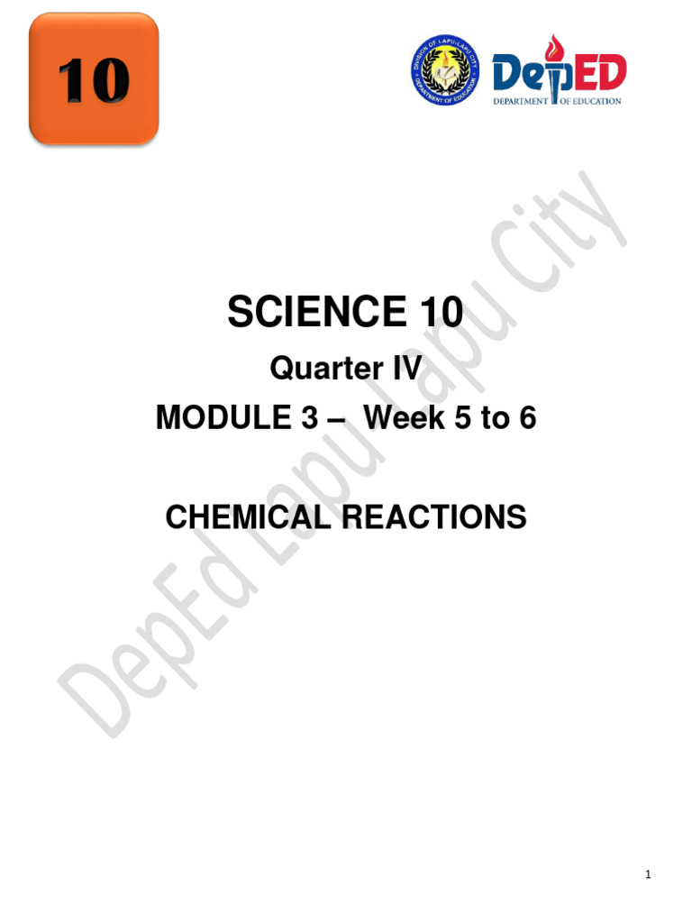 Understanding Chemical Reactions | PDF | Chemistry | Chemical Reactions