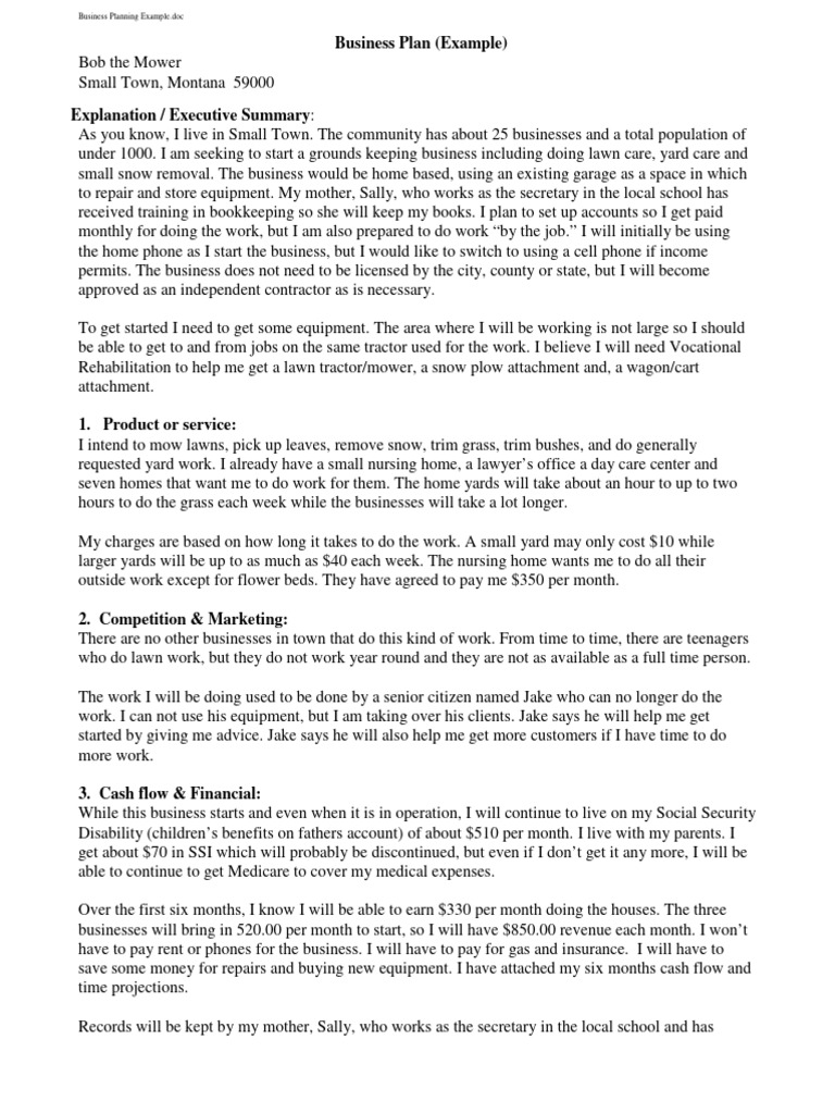 Model Business Plan | PDF | Tractor | Supplemental Security Income