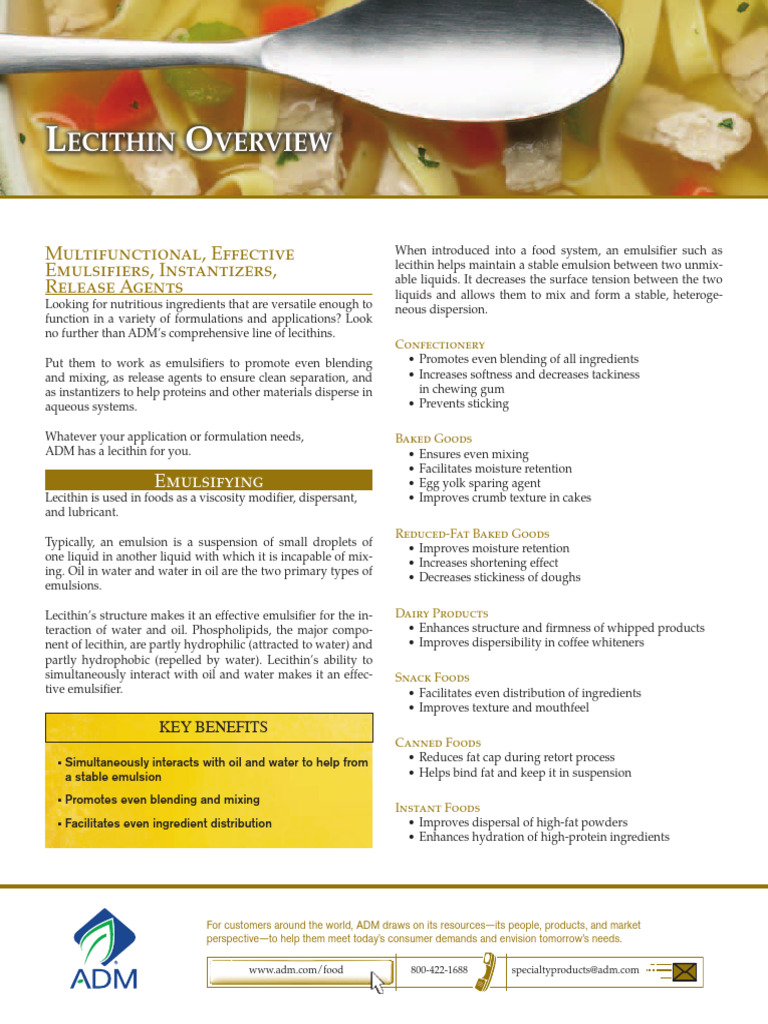 Lecithin Overview | PDF | Emulsion