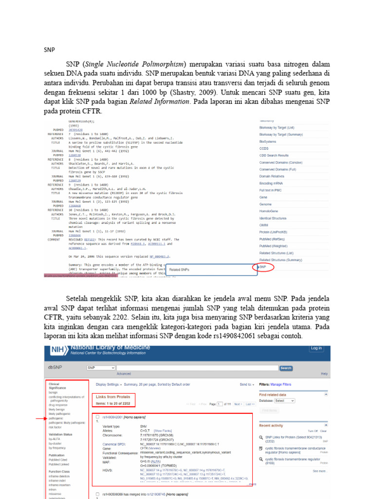 Laporan Bioinfor Mutasi Gen | PDF