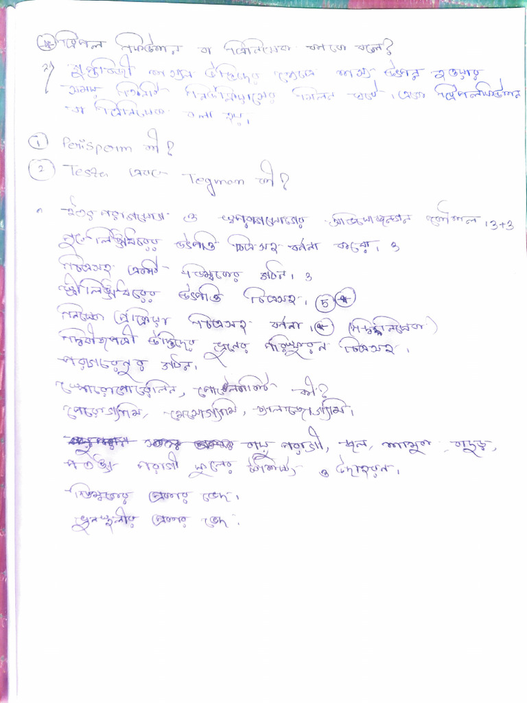 Adobe Scan 28 Mar 2024 | PDF