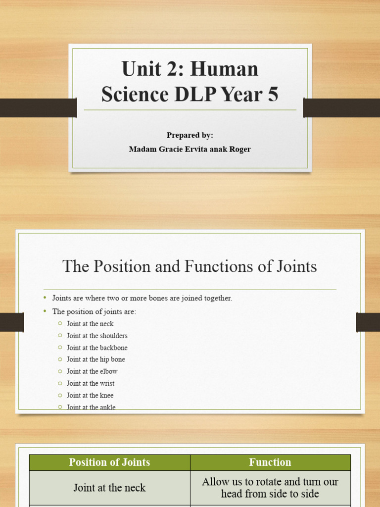 Functions of Human Joints in Year 5 | PDF