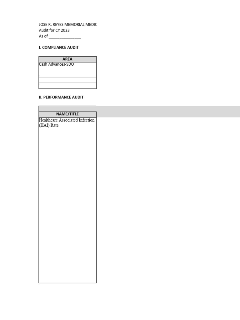 Annex B. 1 Audit Planning CY 2023_DOH Breakout Session_Performance ...