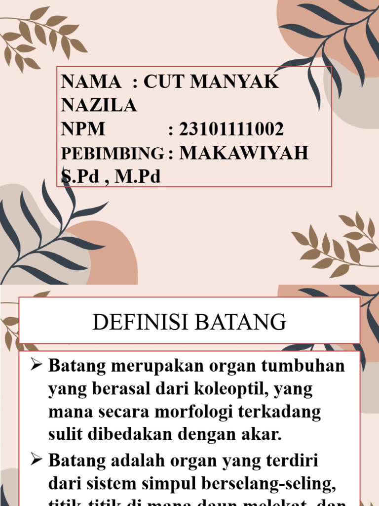 Cut Manyak Nazila (23101111002) | PDF | Sains & Matematika